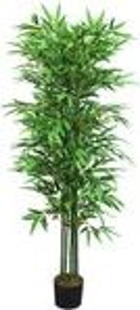 Bambus Bambusový ker Umelá rastlina Umelý | Kaufland.sk