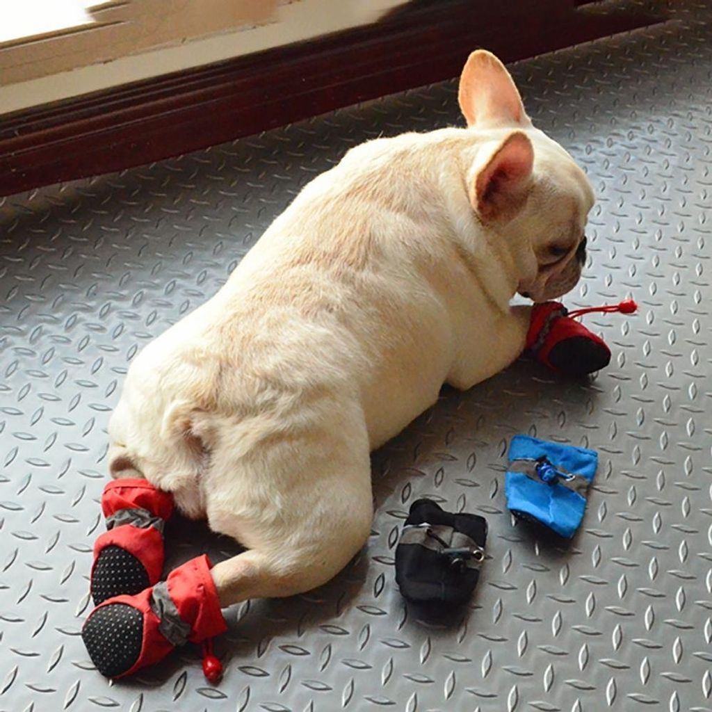 INF Protišmykové topánky pre psov 4 ks Black | Kaufland.sk