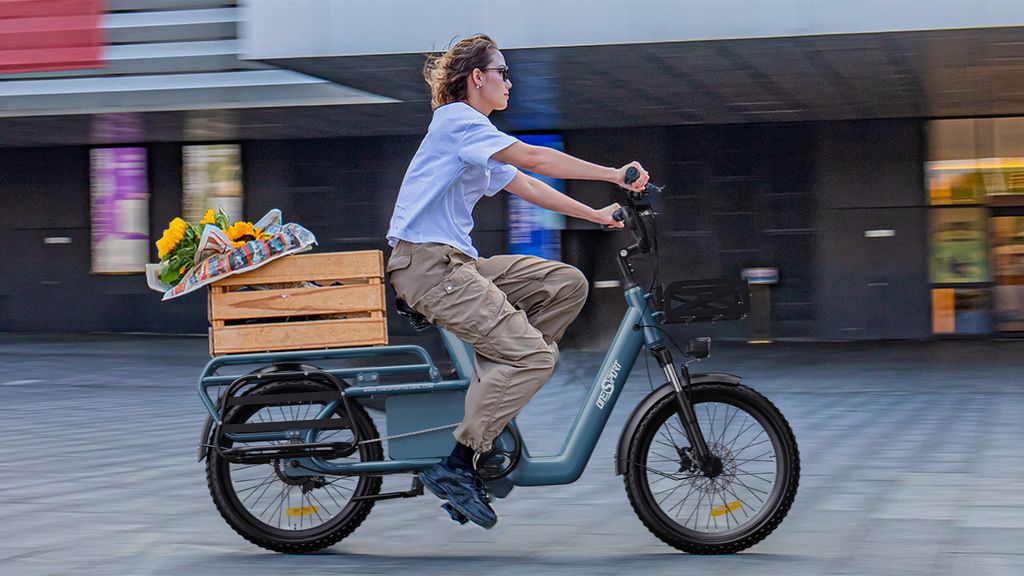 E-bike longtail cargo e-bike elektryczny | Kaufland.pl