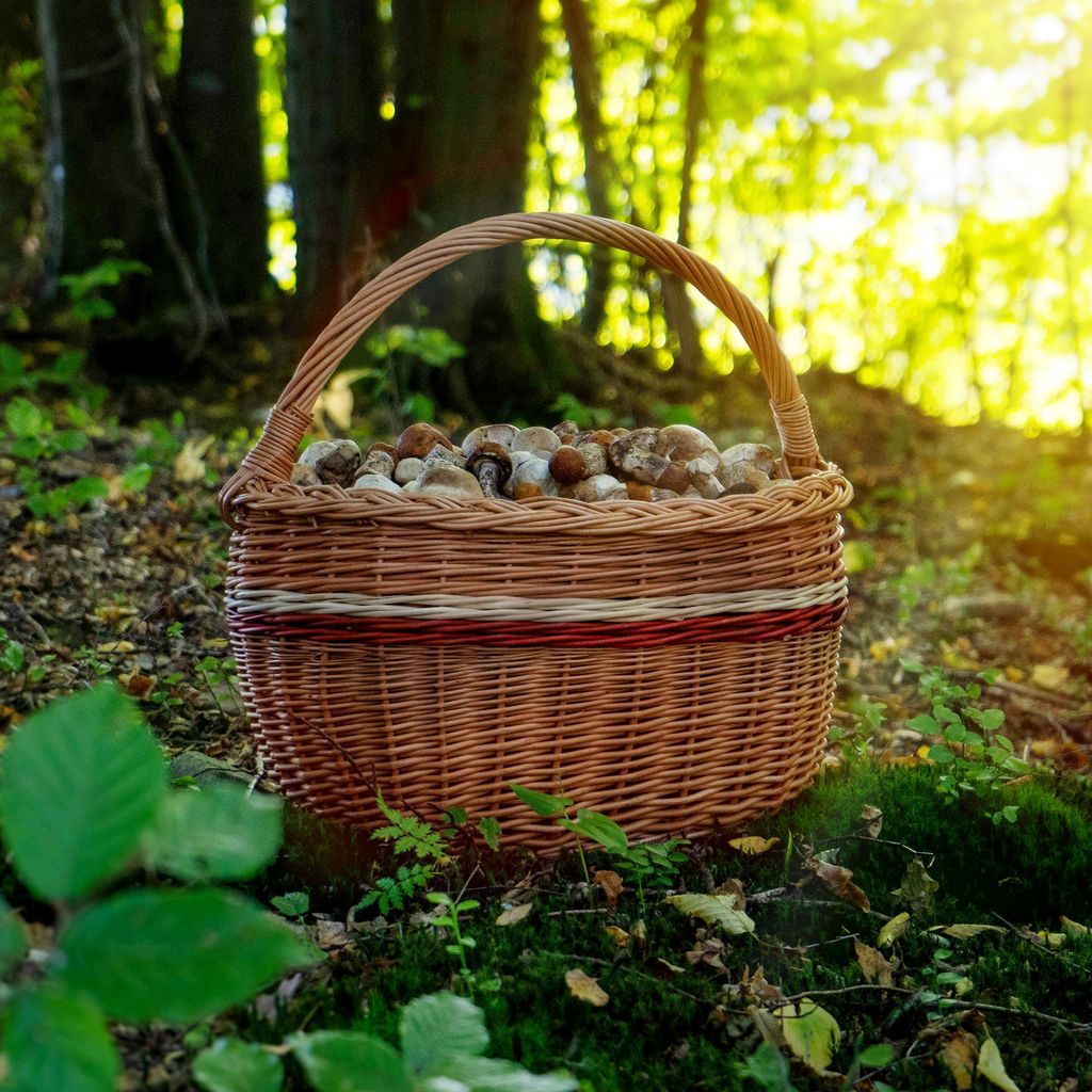 KADAX proutěný košík na houby, oválný košík | Kaufland.cz