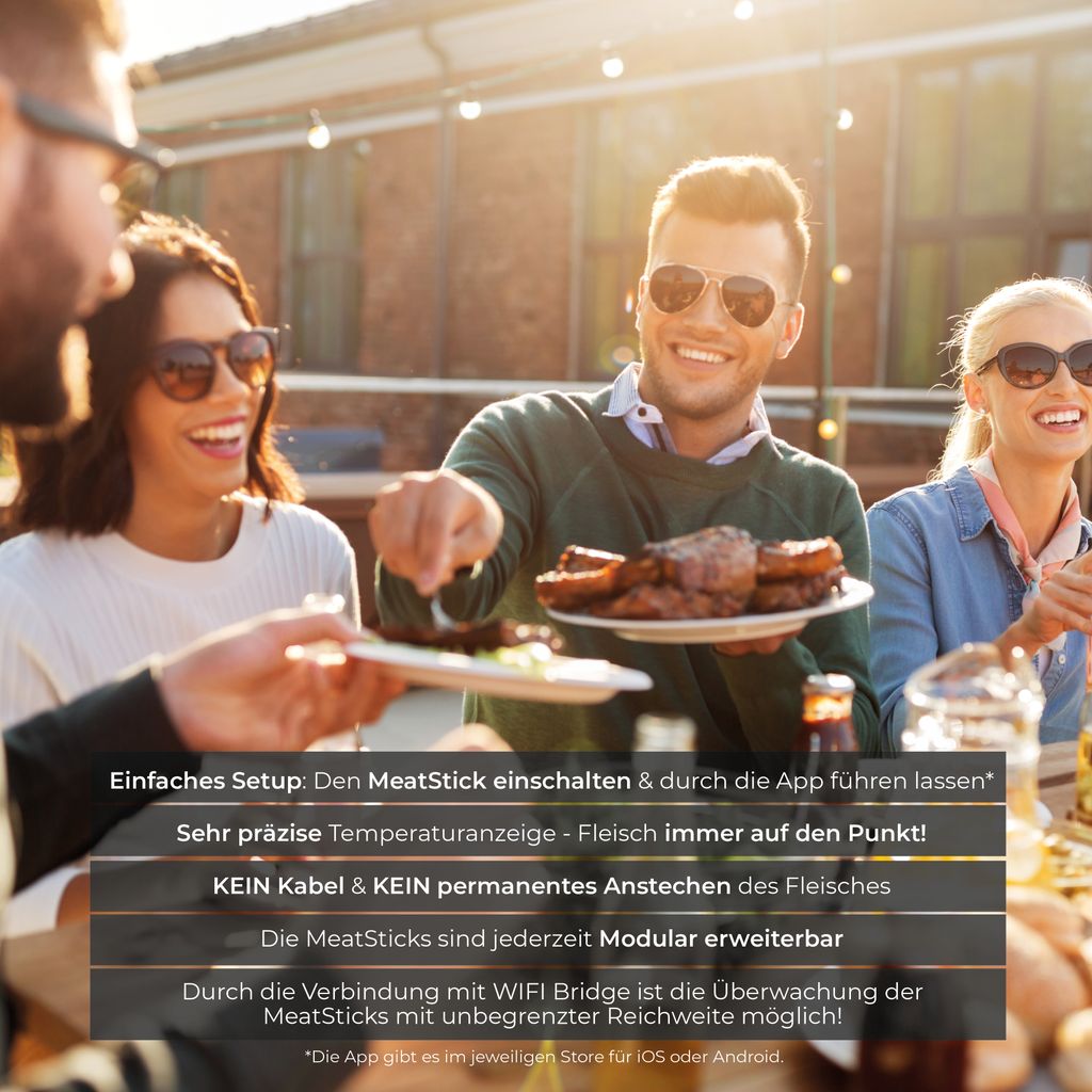 The MeatStick-Set Mini-Fleischthermometer mit | Kaufland.de