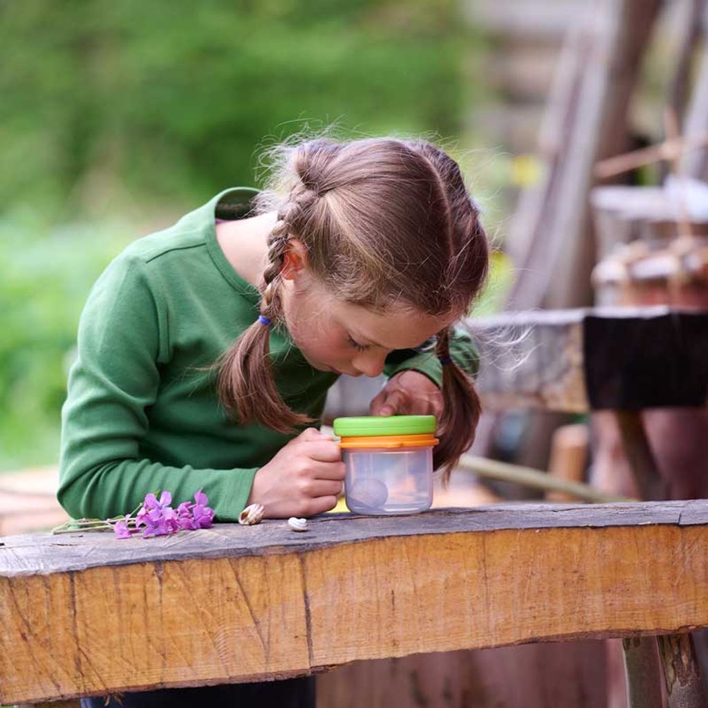 Haba Terra Kids - Lupa s kadičkou 3 v 1 | Kaufland.sk