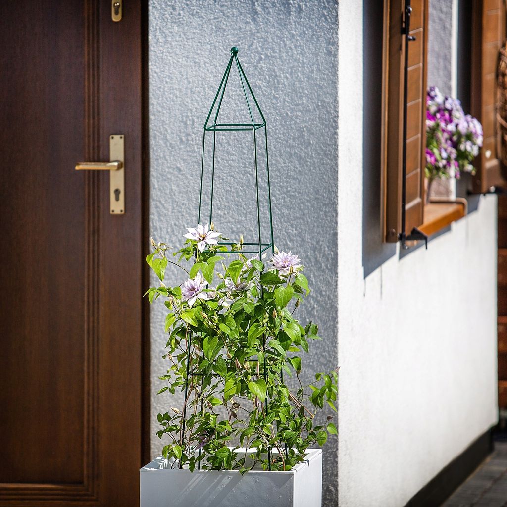 KADAX šplhací podpěra, ocelový šplhací | Kaufland.cz