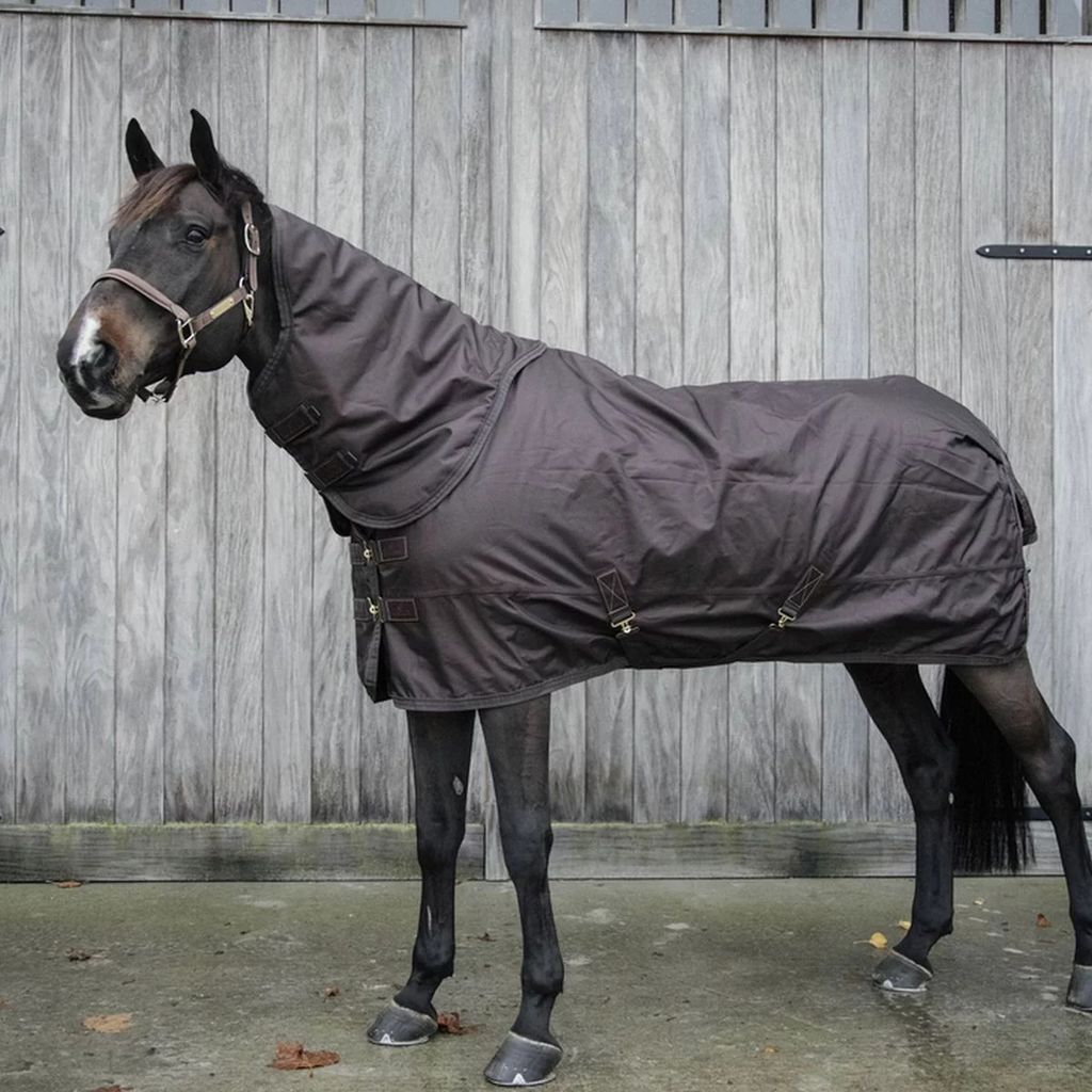 Kentucky Horsewear All Weather Turnout 160g- | Kaufland.de