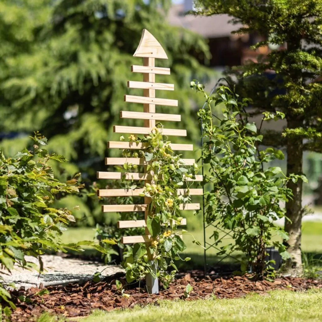 Rankspalier aus Holz, Höhe:119 cm, Länge:70 | Kaufland.de