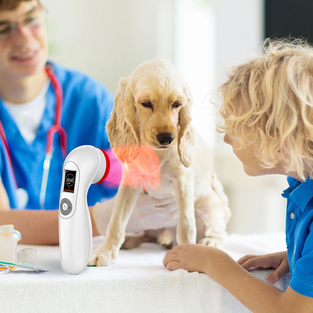 PowerCure Pro: das kraftvollste Handheld für | Kaufland.de