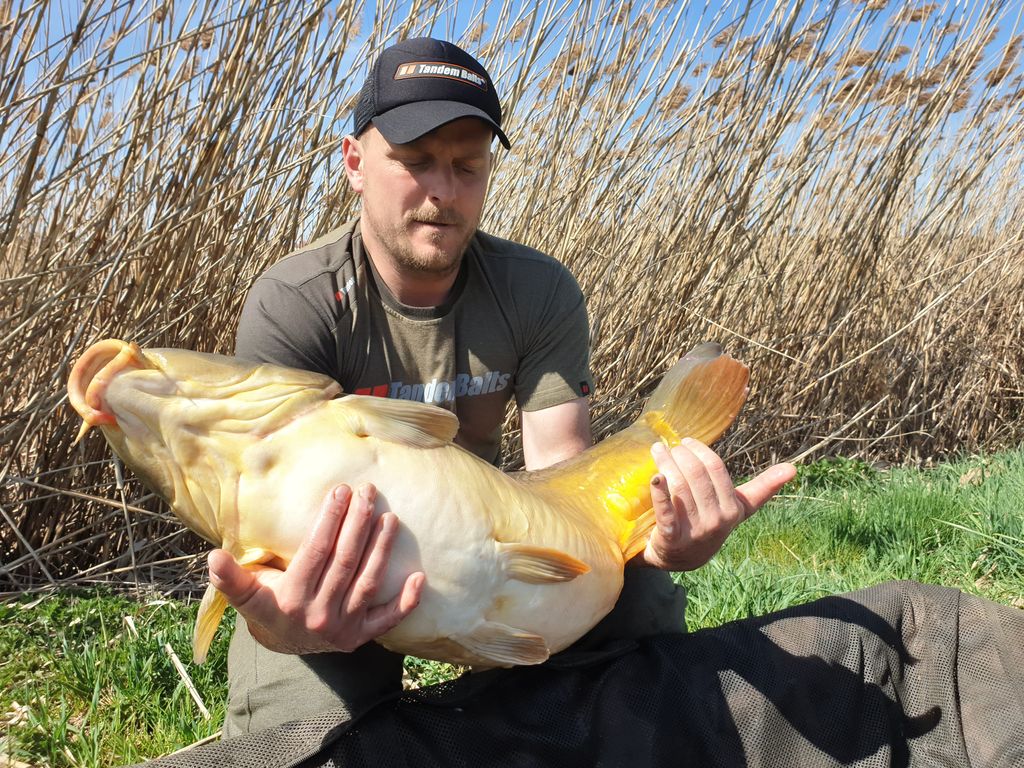 Carp Food Flavour 70ml Mega Tutti Frutti | Kaufland.cz