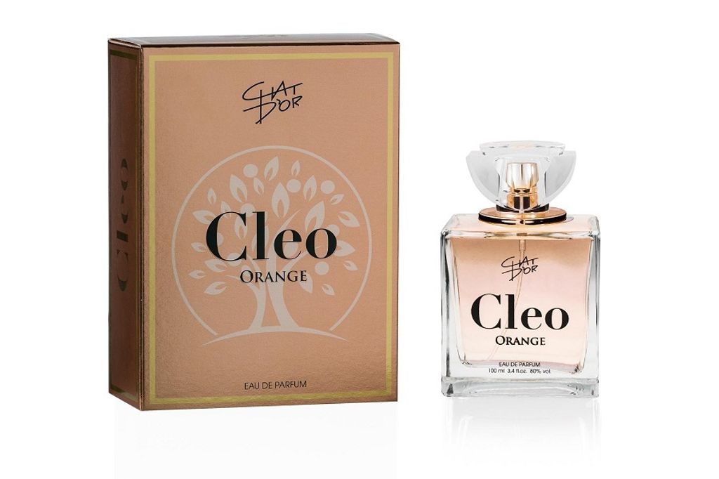 Cleo Orange Perfume Spray 100ml Chat D'or | Kaufland.de