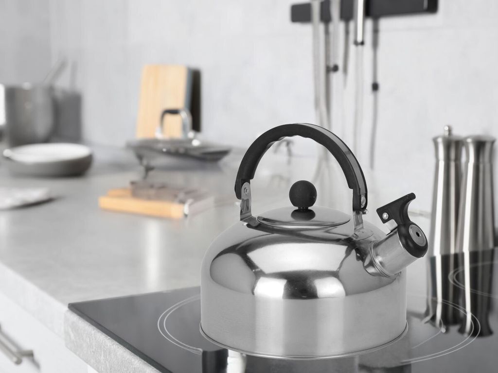 LS-LebenStil Edelstahl Flötenkessel 2,0L | Kaufland.de