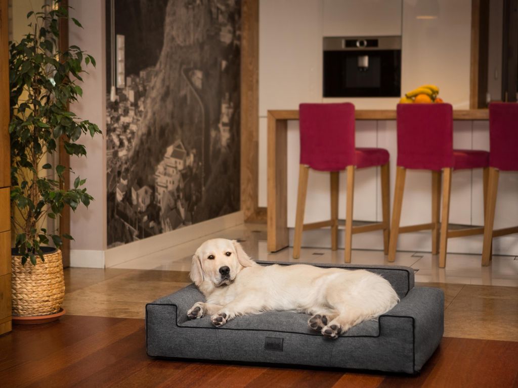 Pelech pre psov GLAMOUR Bed Sofa Miesto na | Kaufland.sk