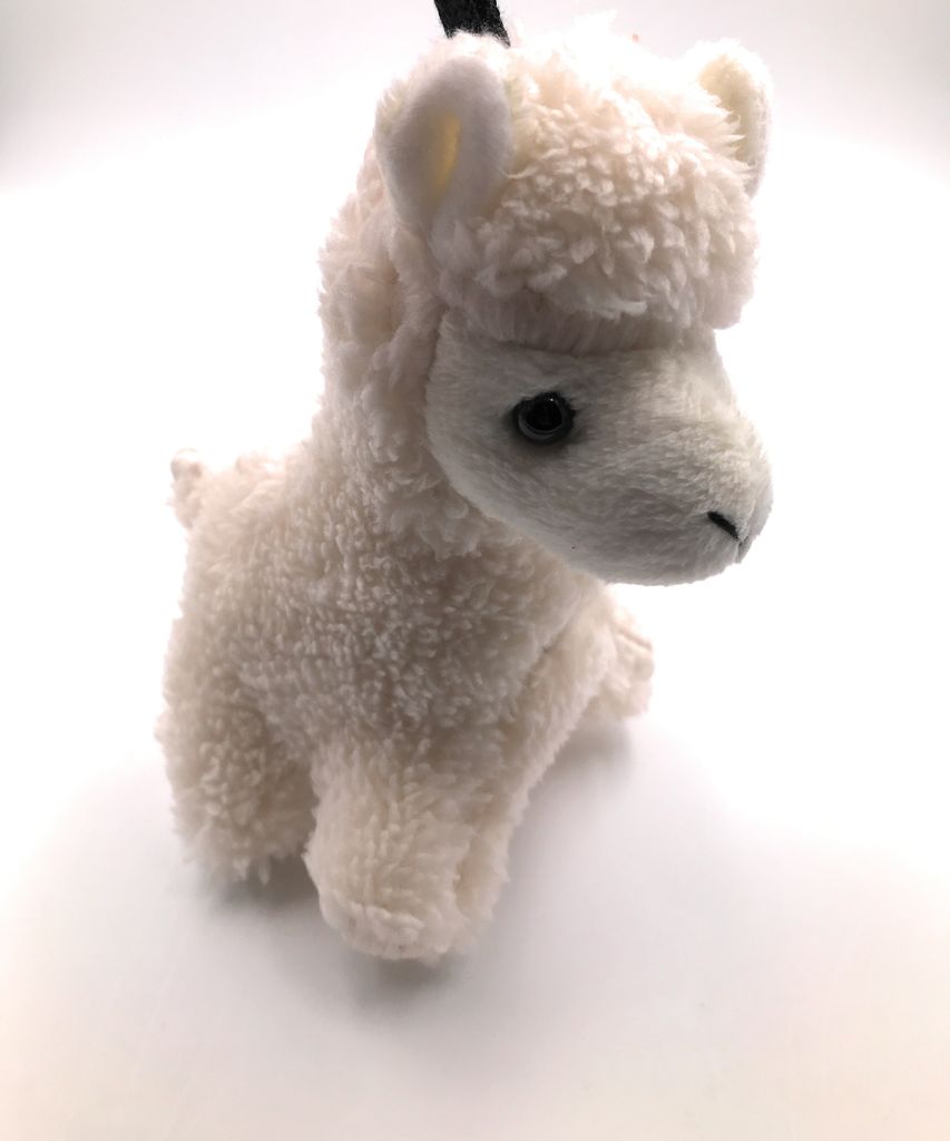 Onwomania Plüsch / Kuschel / Stoff Tier | Kaufland.de