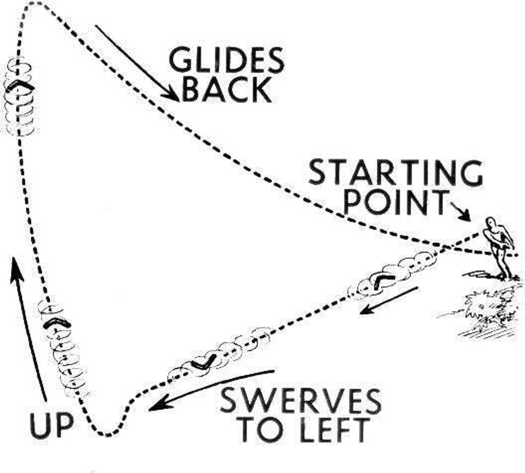 Sirius bumerang 25 cm dřevo světle hnědé | Kaufland.cz