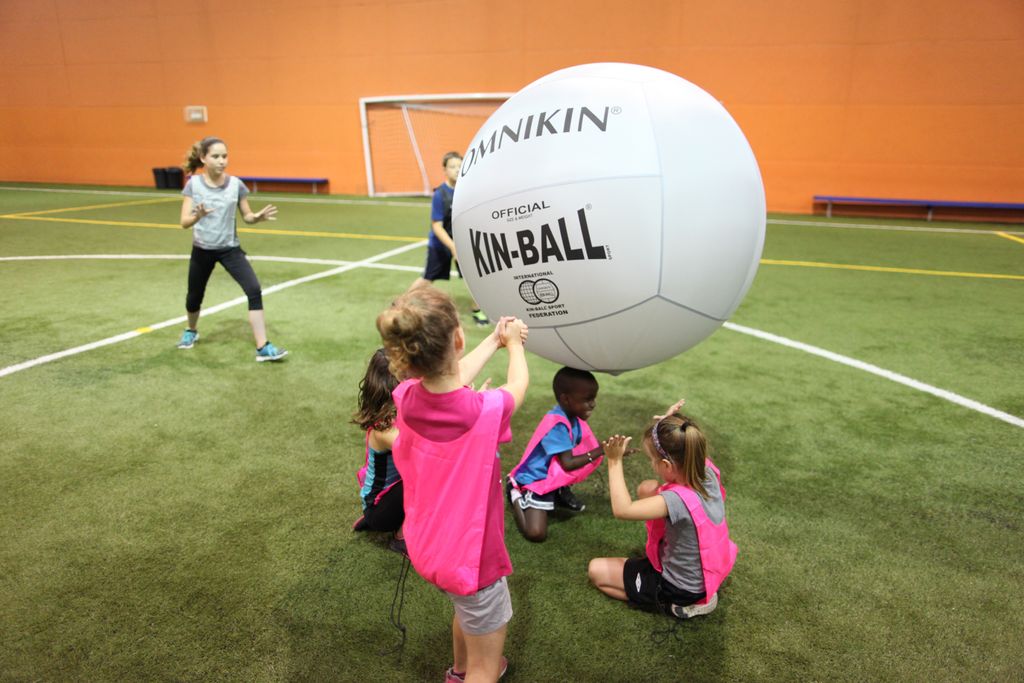 Omnikin Kin-Ball Sport Ball, Grau Spielball | Kaufland.de