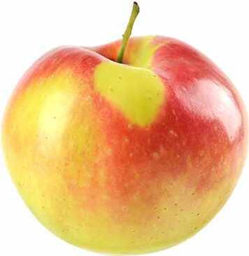 Podzimní jabloň 'Gala' polokmen 100-120 cm - | Kaufland.cz