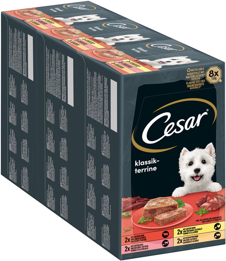CESAR® Schale Multipack Klassik-Terrine 4 | Kaufland.de