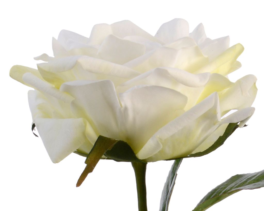 Kunstblumen Rose mit Stiel 68cm Real Touch | Kaufland.de