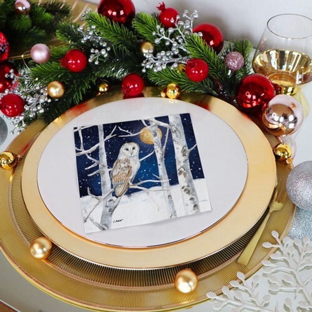 20 Servietten Winter Owl - Eule im Mondschein | Kaufland.de