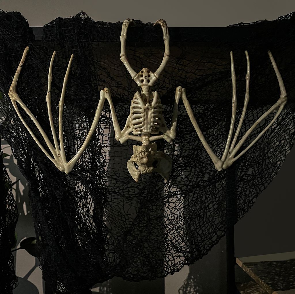 Malatec 22005 Kostra netopiera Halloween 30 | Kaufland.sk