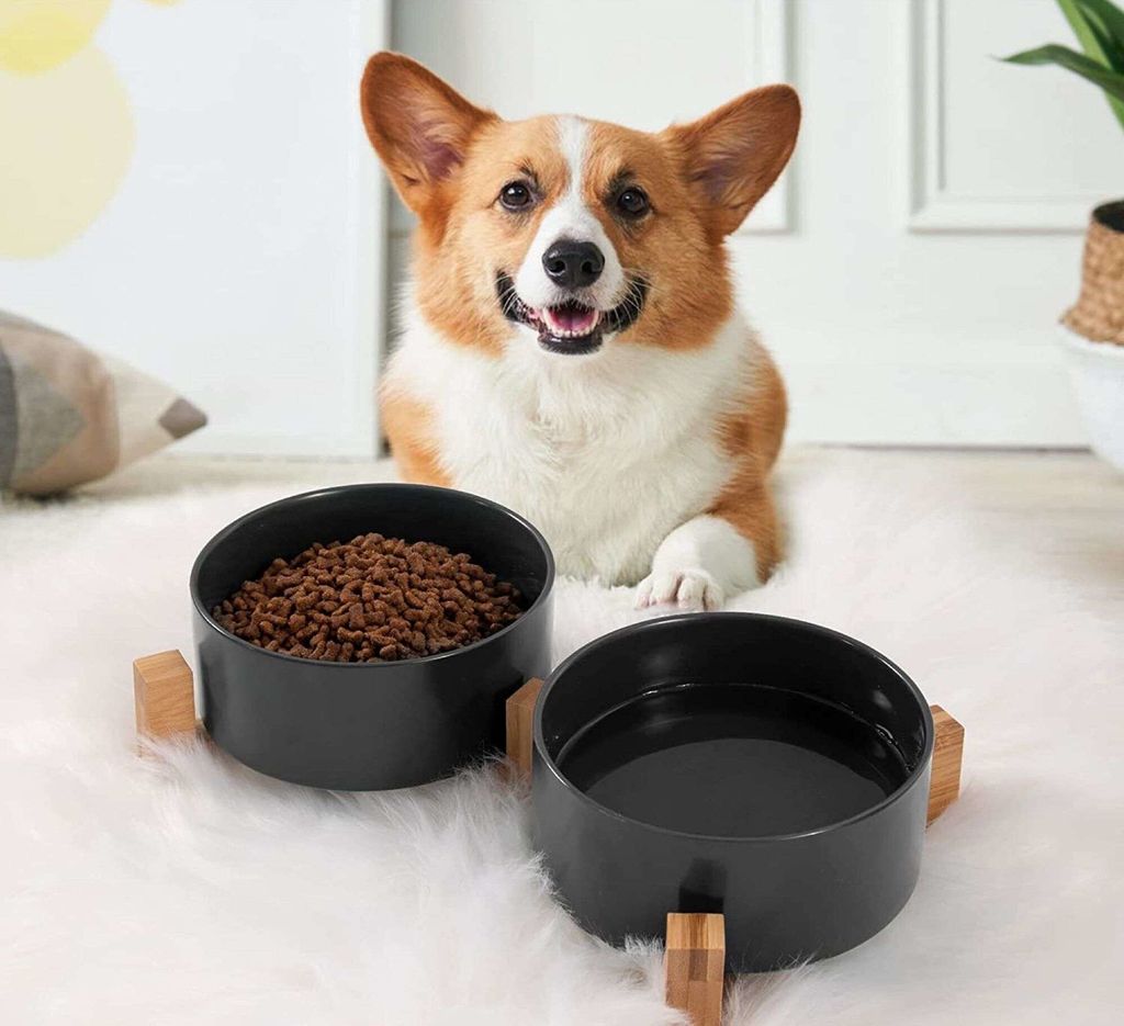 Dvojitá keramická drevená miska pre psov a | Kaufland.sk