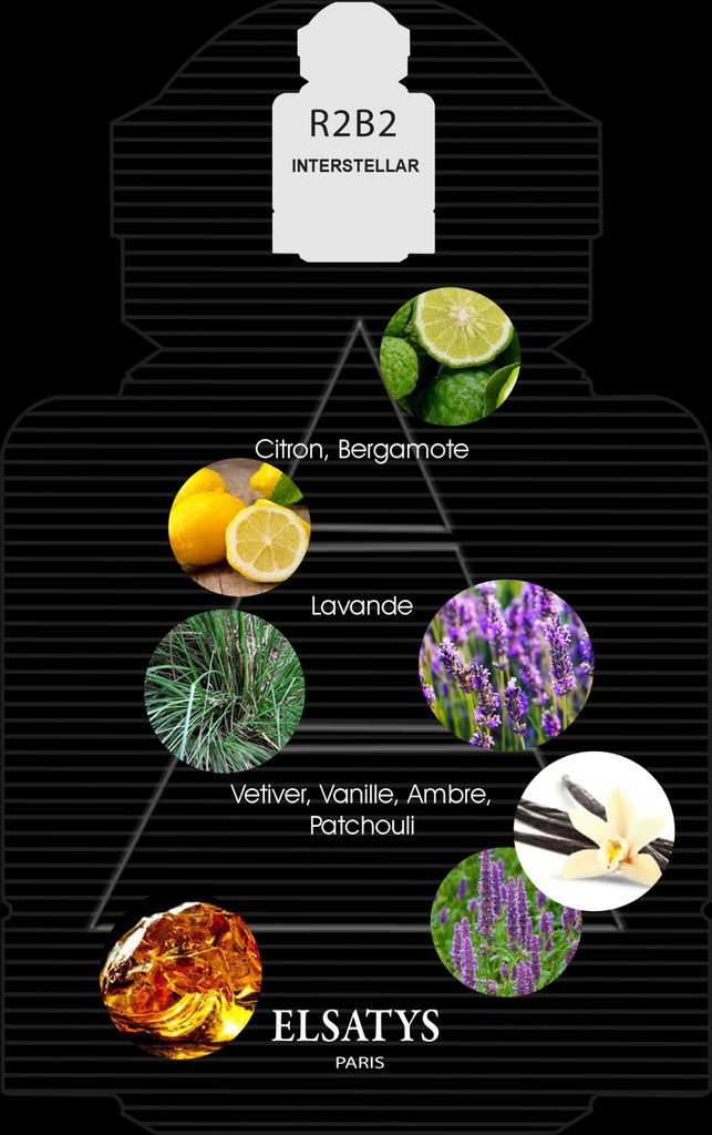 Reyane Tradition R2B2 INTERSTELLAR Eau de | Kaufland.de