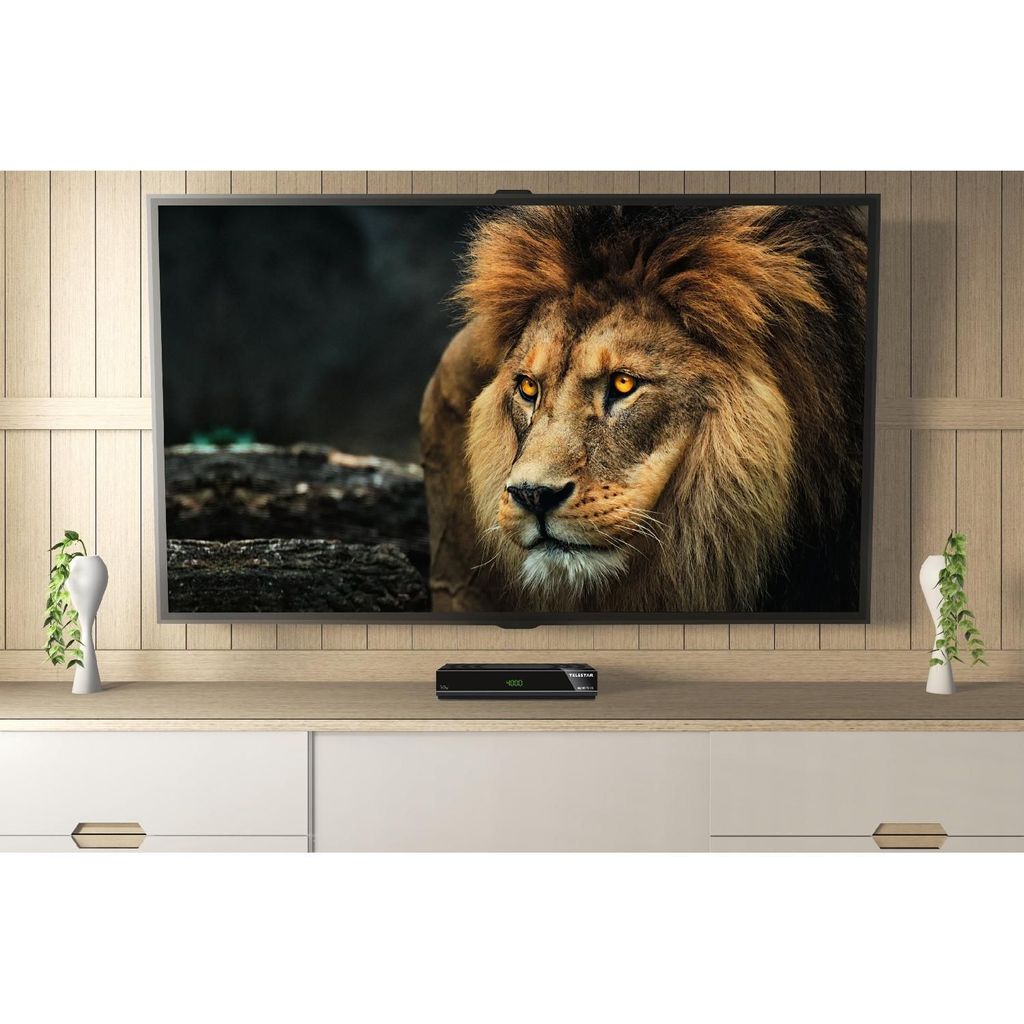 TELESTAR Digi HD TS 13 HDTV SAT-Receiver mit | Kaufland.de