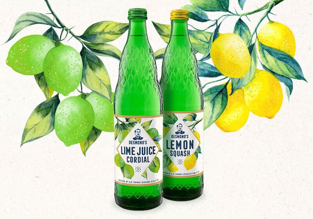 Desmonds 2er Tasting Lemon Squash + Lime | Kaufland.de