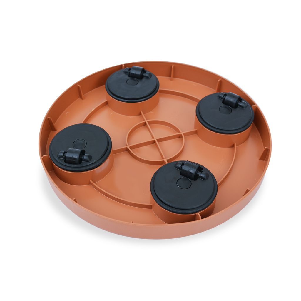 Pflanzenroller, Blummenroller, Untersetzer | Kaufland.de