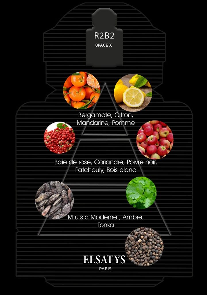 Reyane Tradition R2B2 SPACE X Eau de Parfum | Kaufland.de