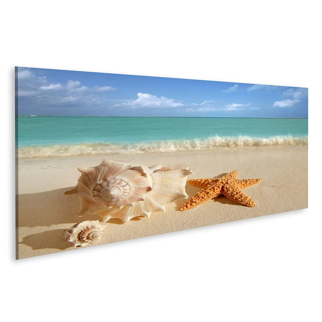 Bild auf Leinwand Meer Schalen Seestern Im | Kaufland.de