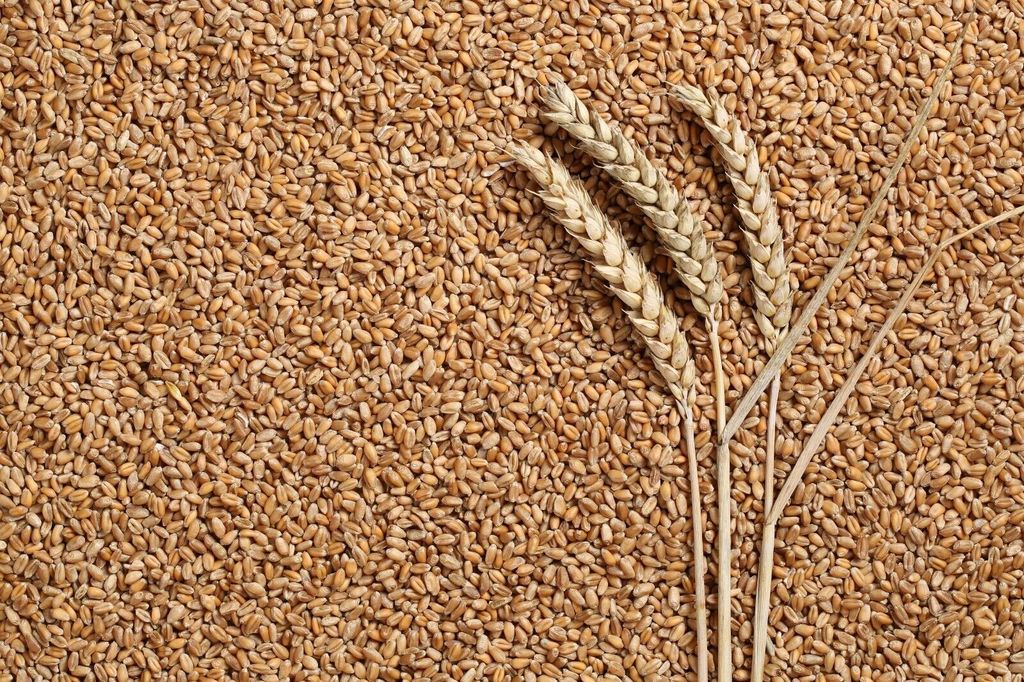 10kg Weizen Geflügelfutter Hühnerfutter | Kaufland.de