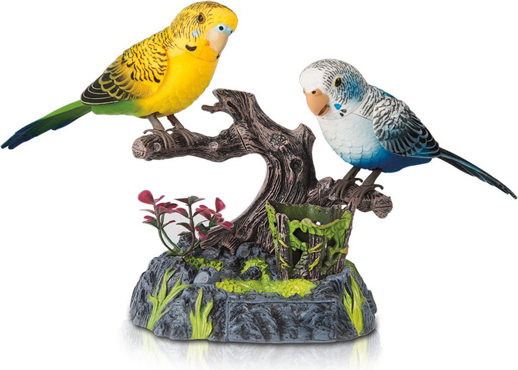 Sprechende Sittiche 2 in 1 | Kaufland.de