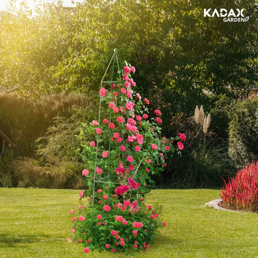 KADAX šplhací podpěra, ocelový šplhací | Kaufland.cz