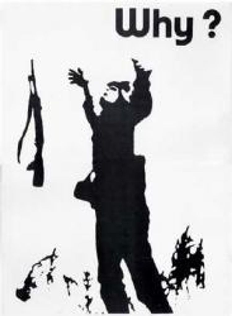 Why - Aufkleber Krieg Soldat Gewehr Sticker