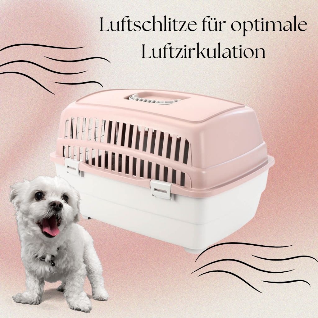 Transportbox IATA Flugbox Flugzeug Transport | Kaufland.de