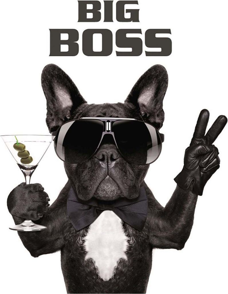 Leinwandbild - Motiv: Big Boss Mops - 61 x | Kaufland.de