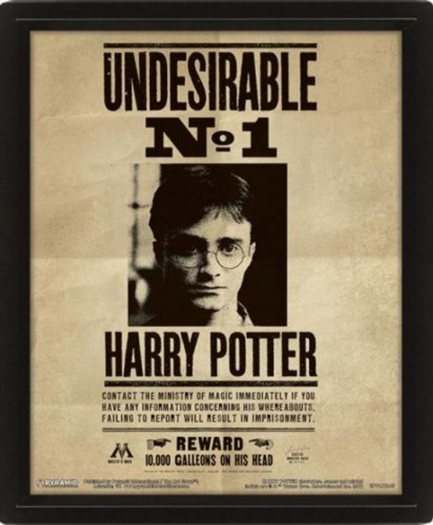 Plagát 3D lentikulárny Harry Potter a Sirius | Kaufland.sk