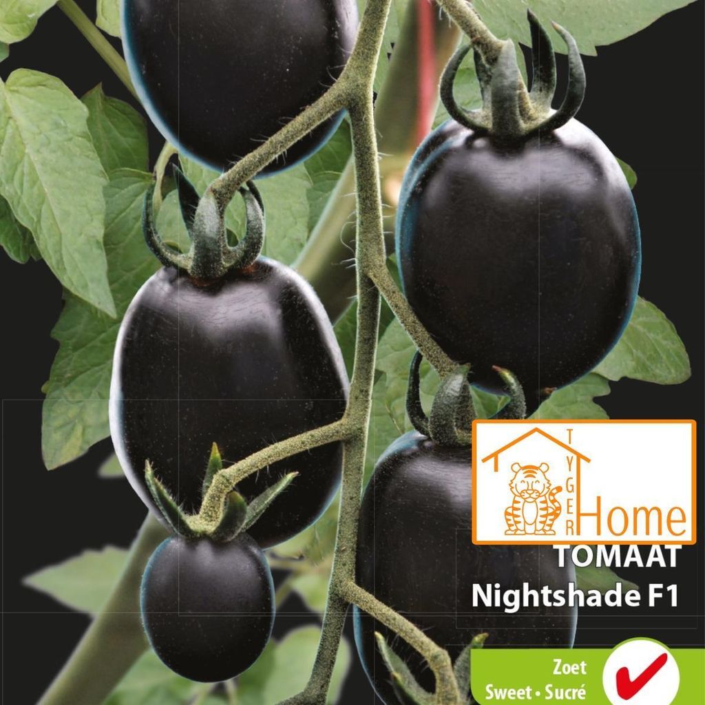 Tomaten-Nachtschatten-F1-Samen – hochwertige | Kaufland.de