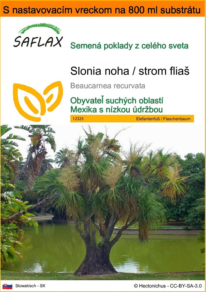 SAFLAX Garden in the bag - Slonia noha / strom fliaš