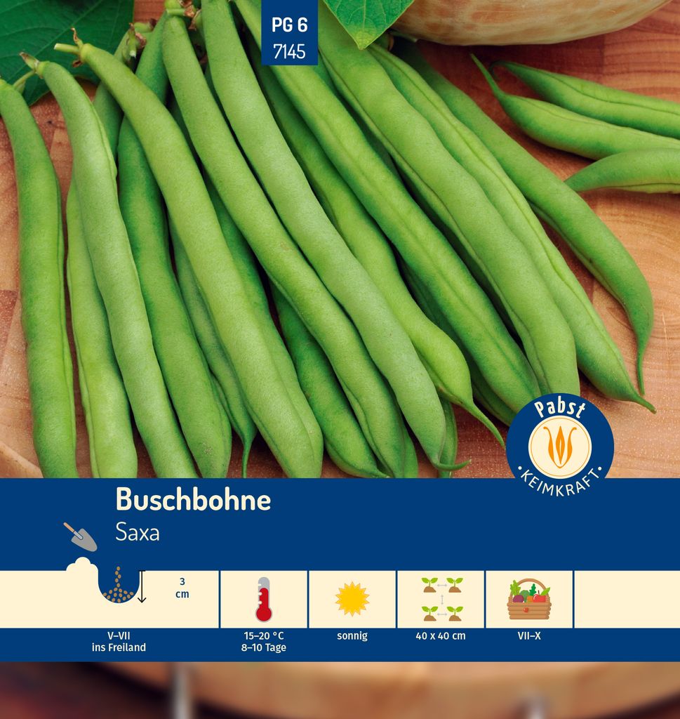 Pabst Keimkraft - Buschbohne sehr früh & | Kaufland.de