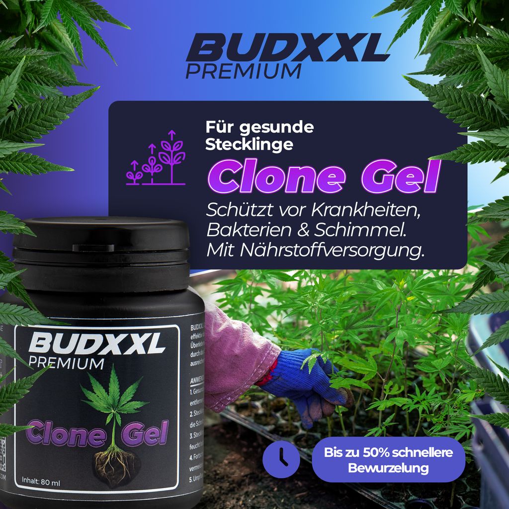 BUDXXL Clone Gel 80ml - Stecklingsgel | Kaufland.de