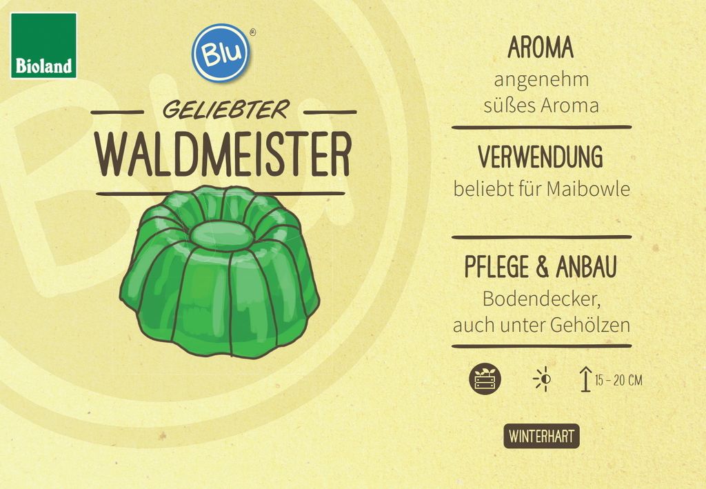 Drevina v biokvalite - Galium odoratum - | Kaufland.cz