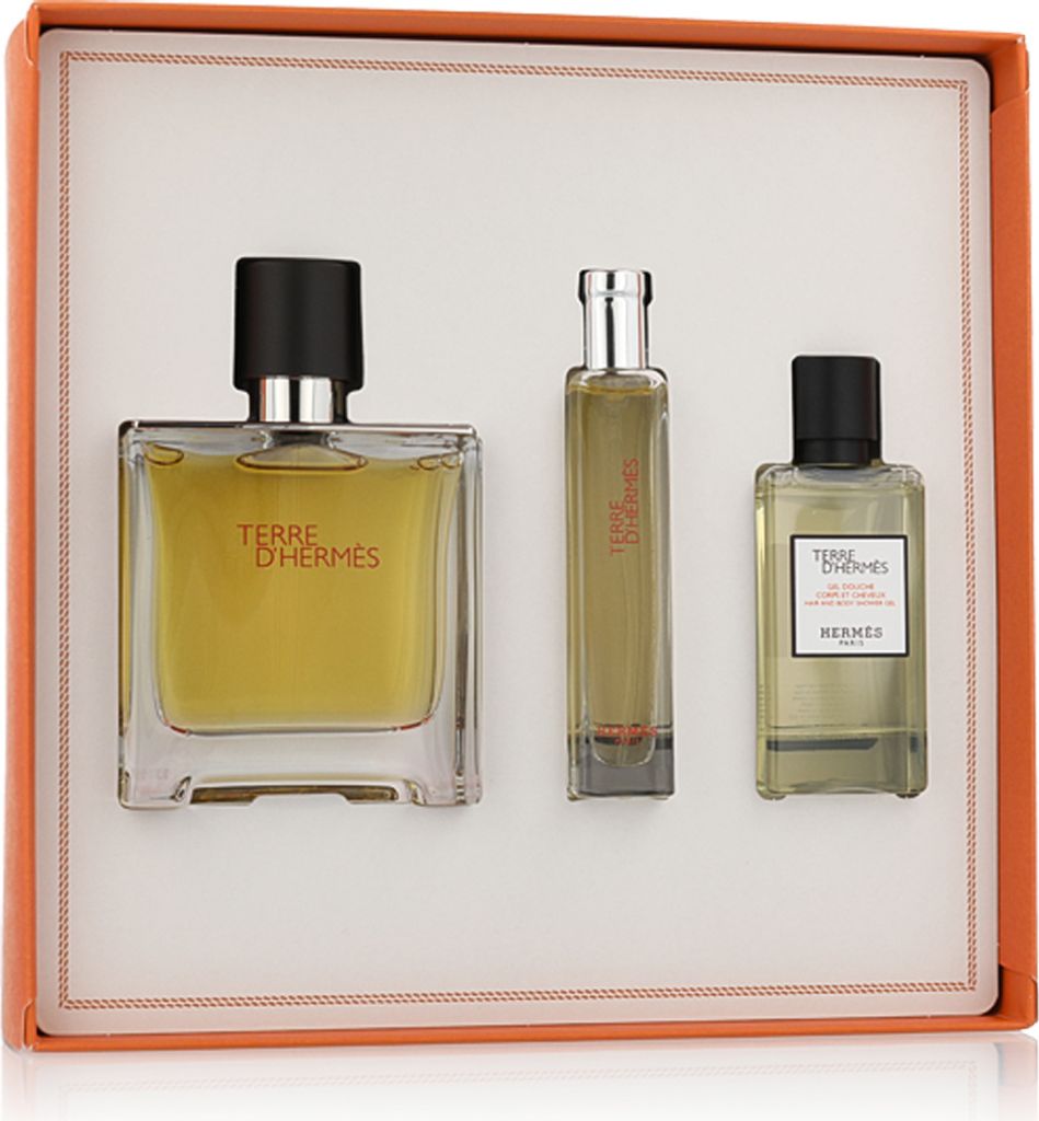 Hermès Terre D'Hermès EDT 100 ml + EDT 15 ml + SG für Haut