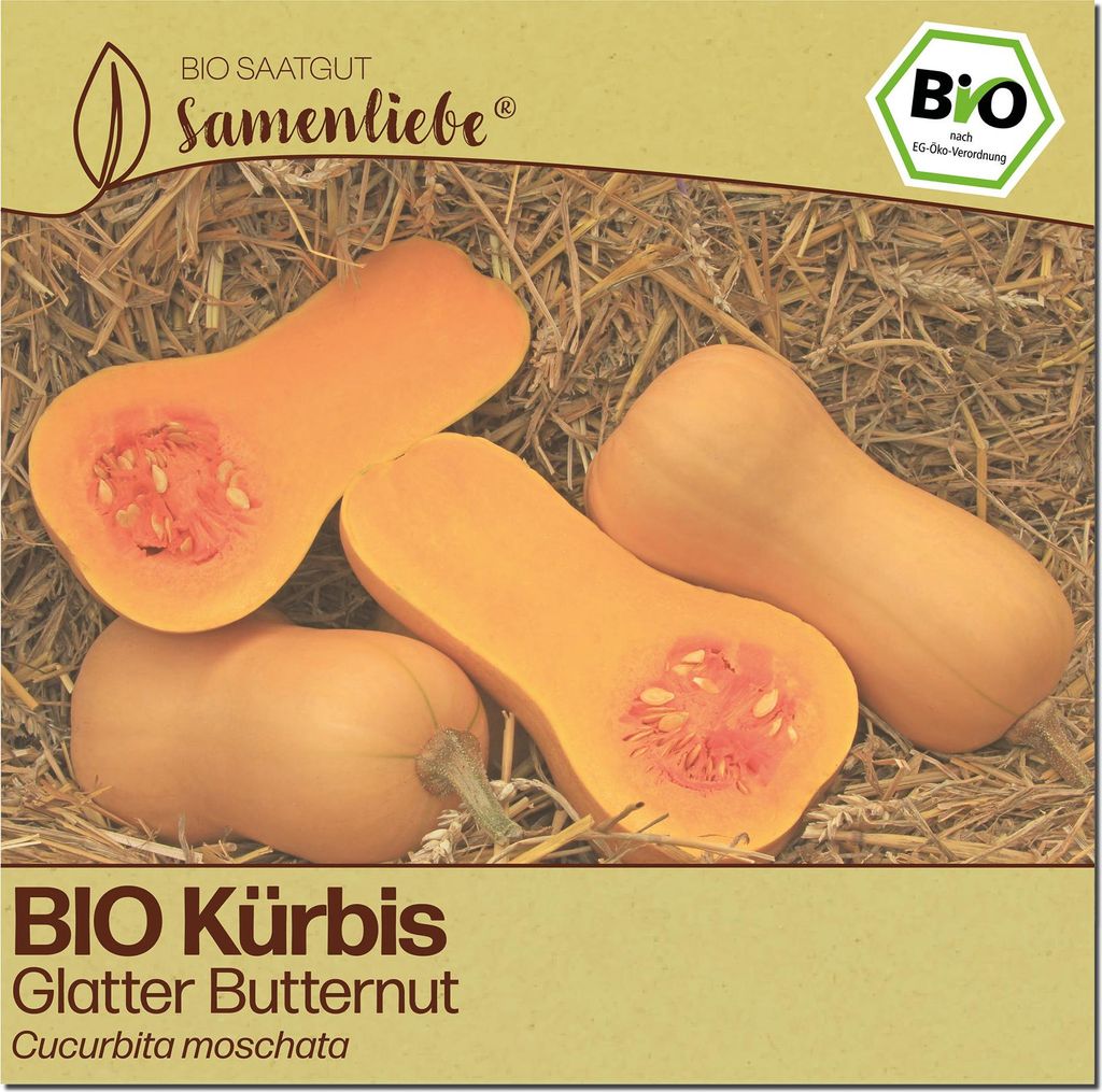 Butternut Kurbis Samen