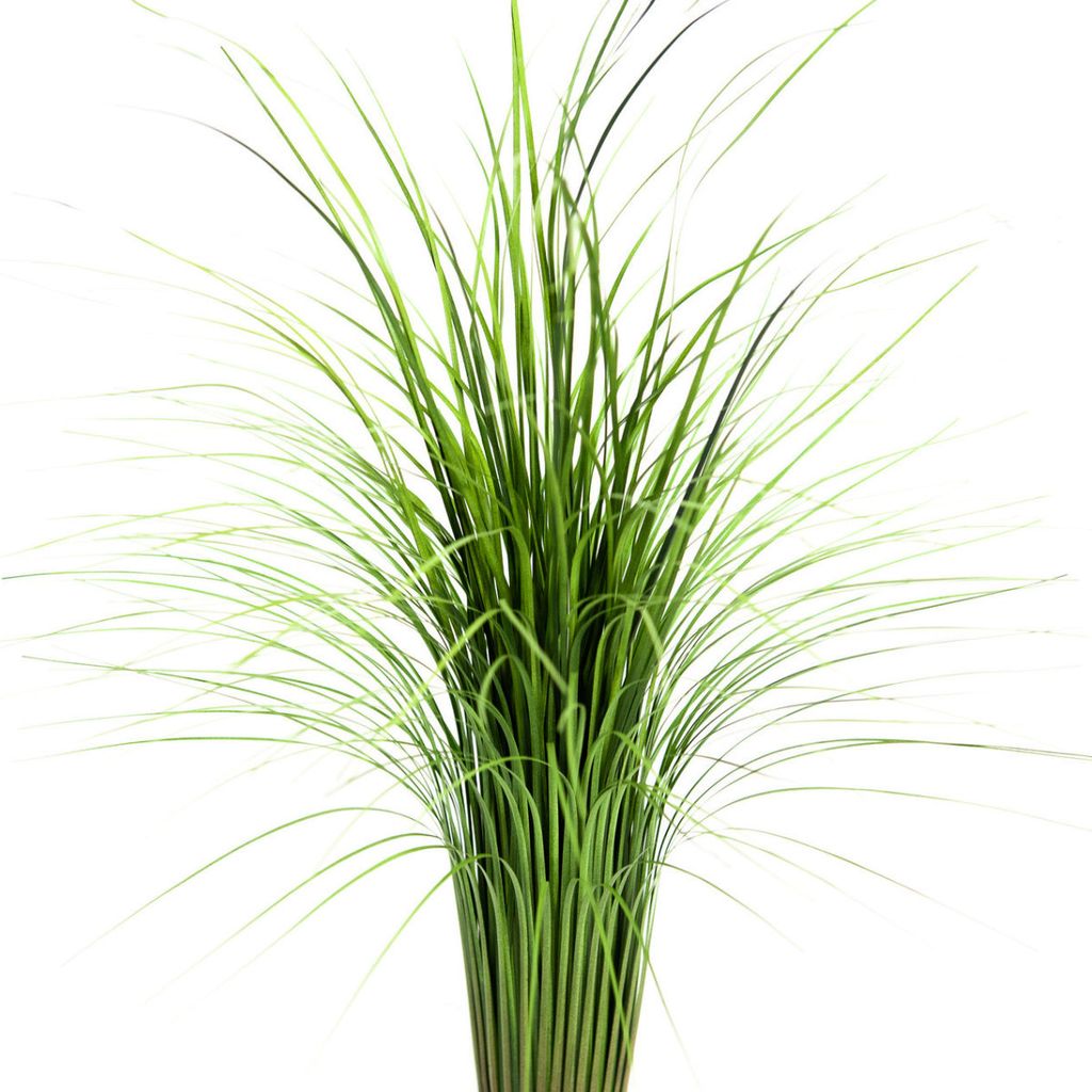 Kunstpflanze Ziergrasbündel Dekogras | Kaufland.de