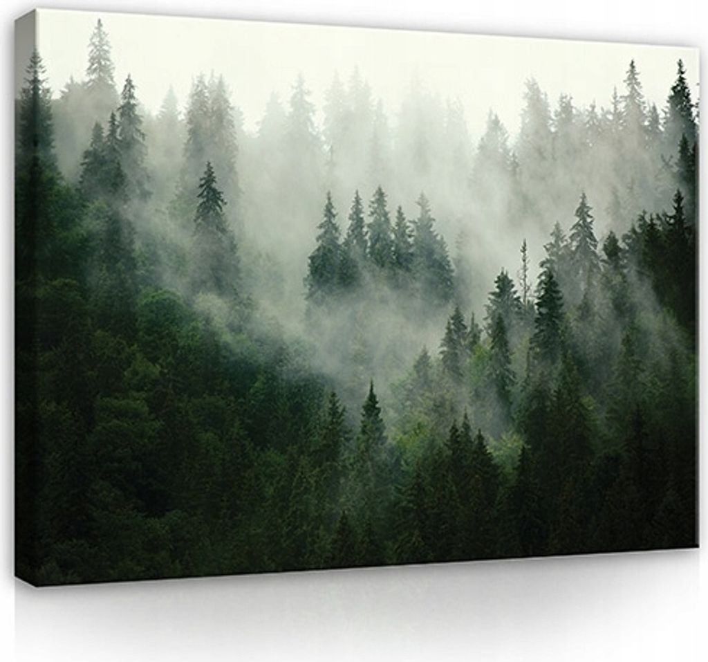 Leinwandbild Wald Nebel Natur 120x80 cm XXL | Kaufland.de