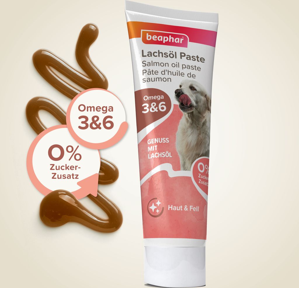 Lachsol Fur Hunde Dosierung