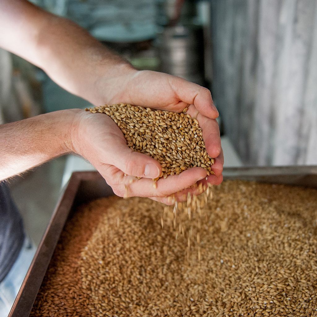 25 kg Gerste Gereinigt Hühnerfutter | Kaufland.de