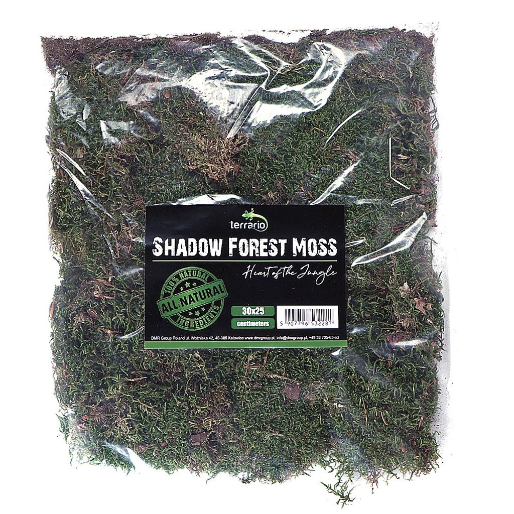 Terrario Shadow Forest Moss - Natürliches | Kaufland.de