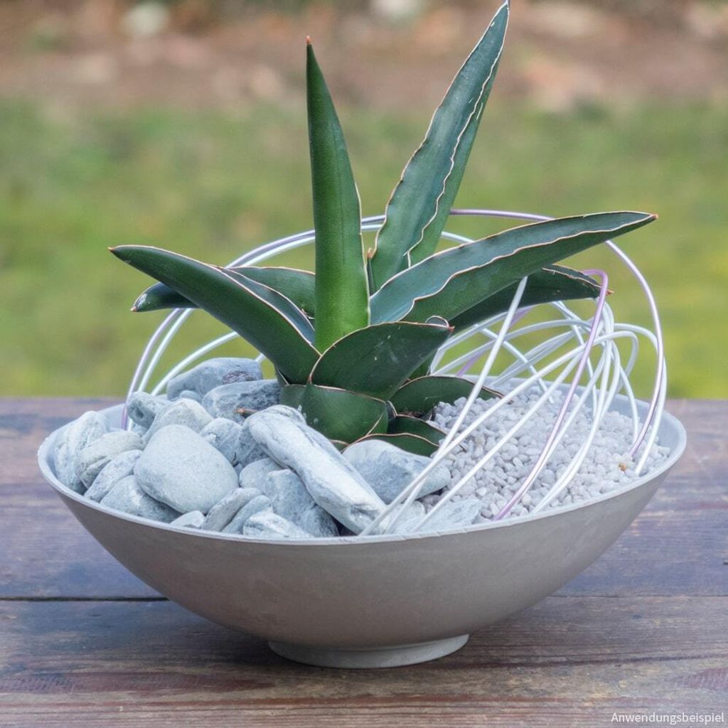 Flache Pflanzschalen für draussen Dekoschalen | Kaufland.de