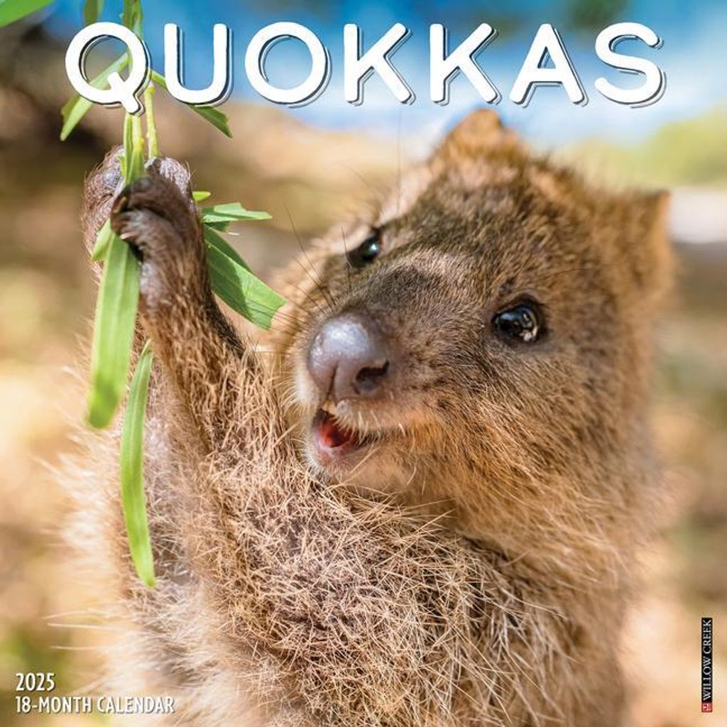 Quokkas 2025 12 X 12 Wall Calendar | Kaufland.de